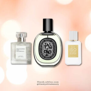 Understanding Earthy & Woody Scents: A Guide to Perfume Categories ...